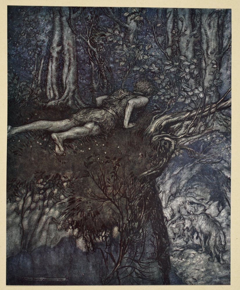 'And there I learnt what love was like', illustration from 'Siegfried and the Twilight of the Gods'